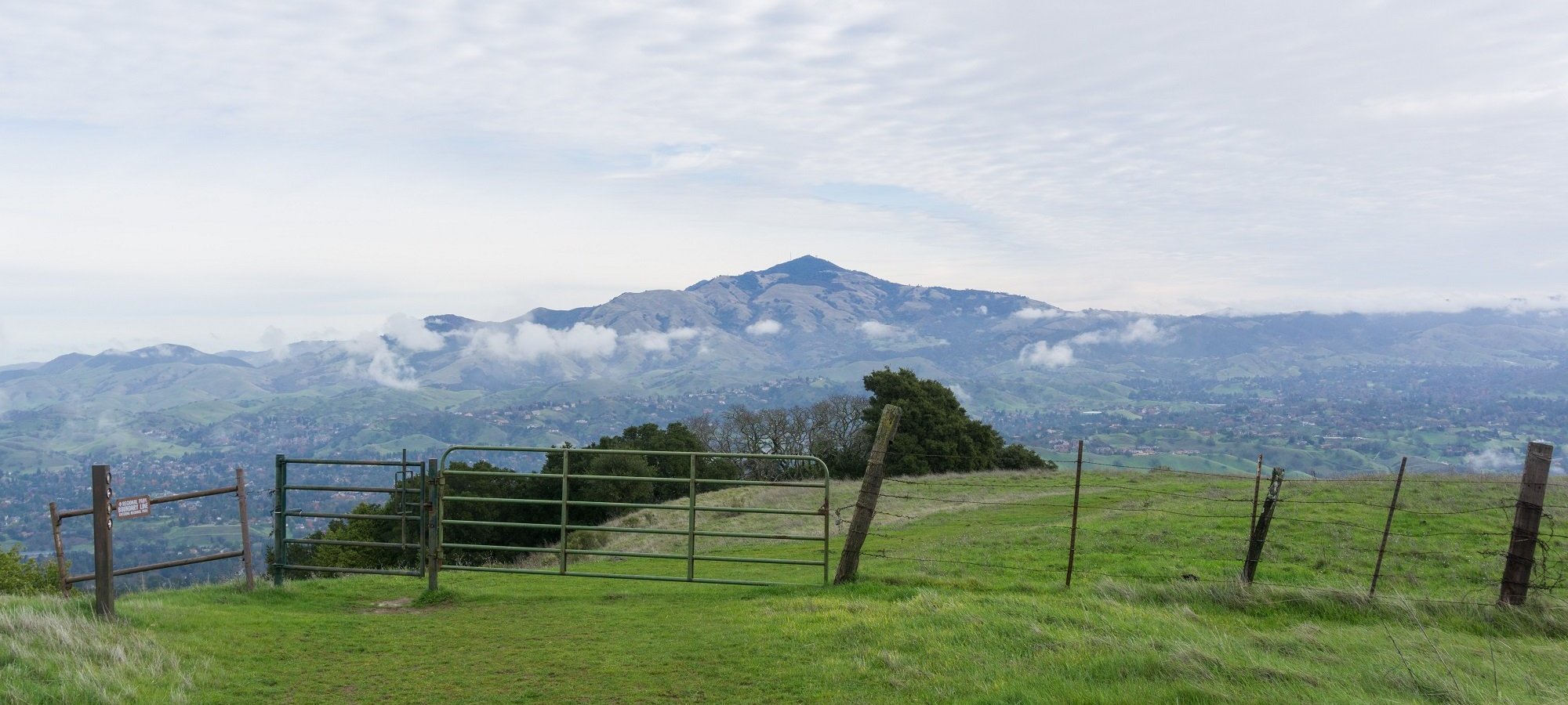 Endodontics San Ramon CA, Endodontist